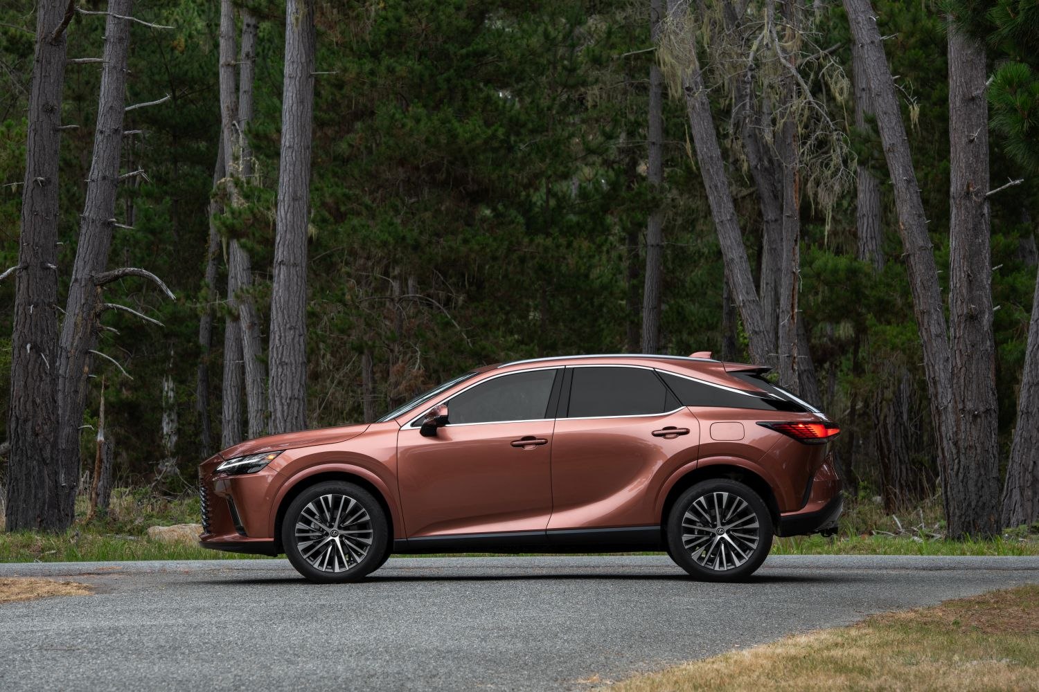 Lexus RX V 350 (275 Hp) ECT-i